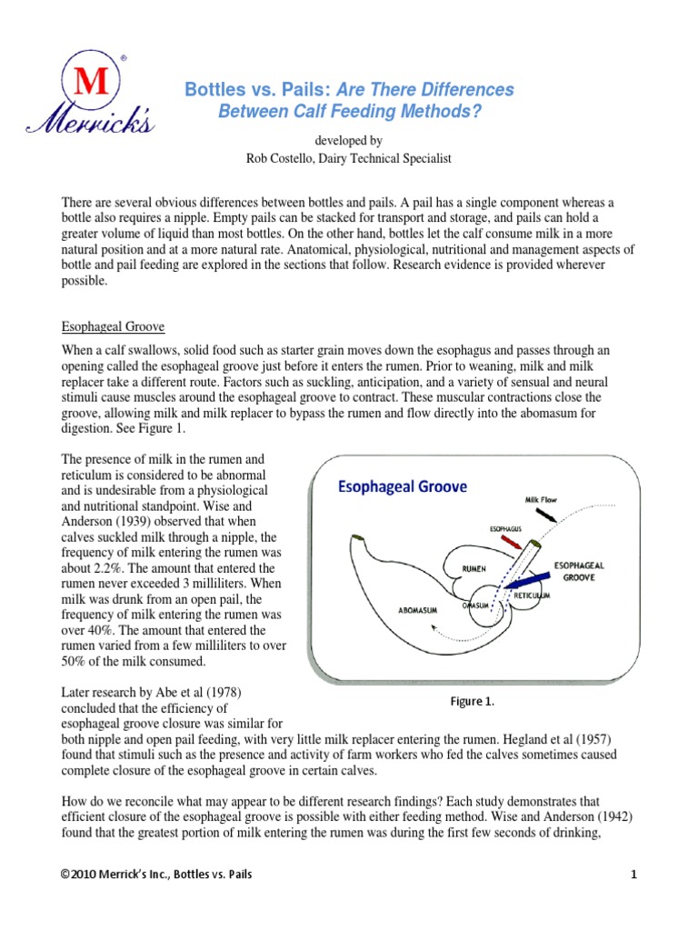 Bottle Vs Pail 8-6-12 | PDF | Calf | Digestion