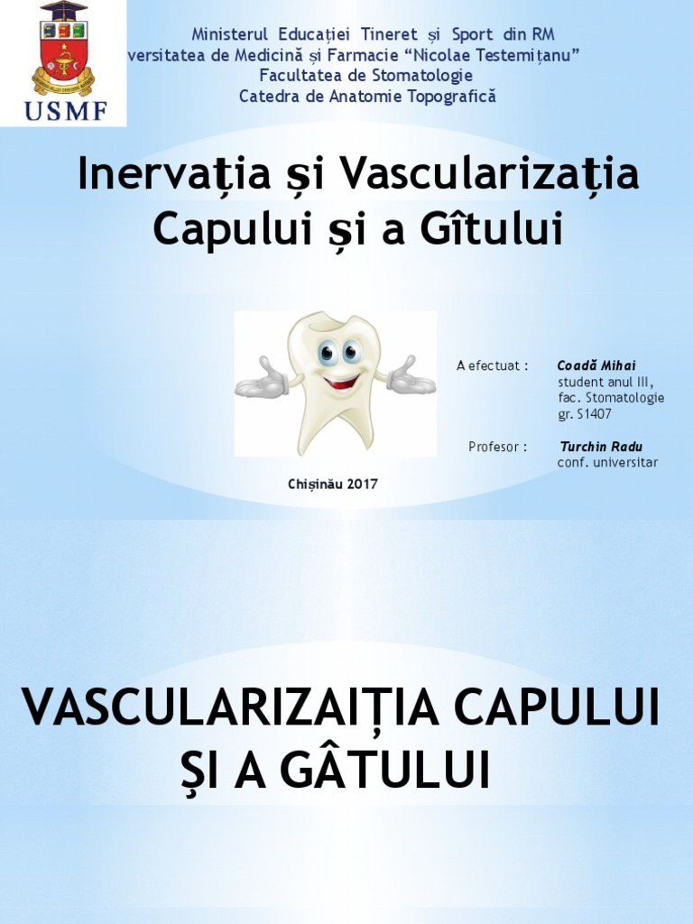Inervatia Si Vascularizatia | PDF