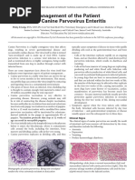 Kitty Magic | PDF | Anesthesia | Surgery