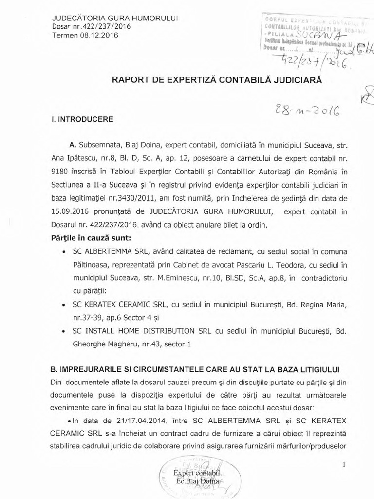 Raport de Expertiza Contabila | PDF