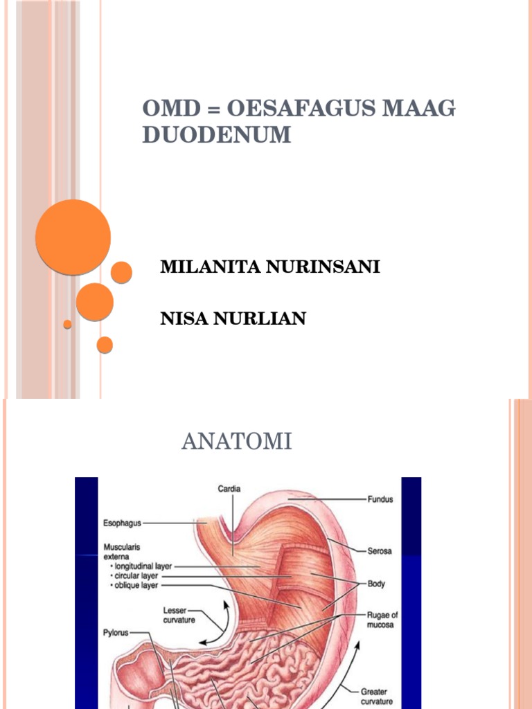 Omd Oesafagus Maag Duodenum: Milanita Nurinsani Nisa Nurlian | PDF