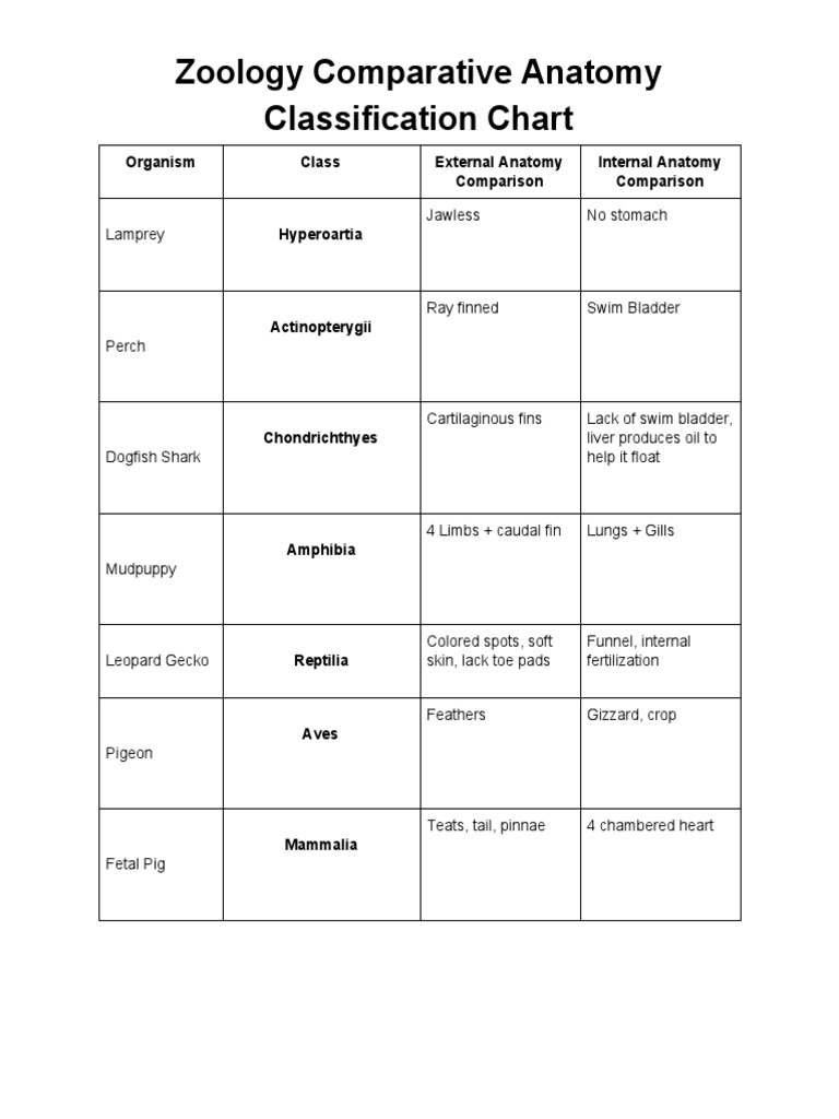 Zoology Comparative Anatomy Classification Chart: Organism Class ...