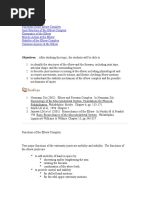 Patterns of PNF | PDF | Anatomical Terms Of Motion | Human Leg