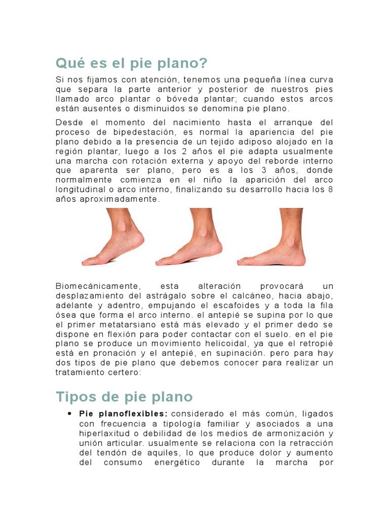 12 Pie Plano | PDF | Pie | Sistema musculoesquelético