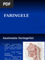 Anatomia Faringe Si Laringelui LP5 | PDF