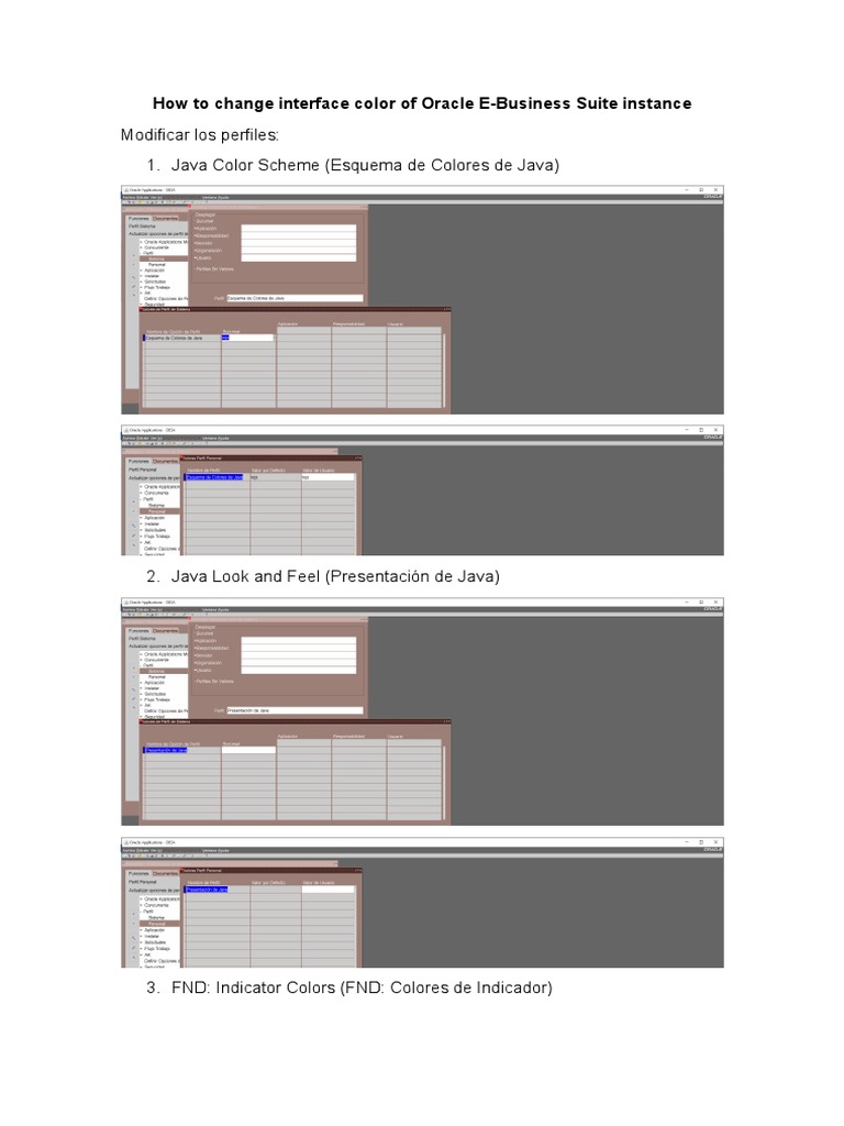 How To Change Interface Color of Oracle EBS | PDF | Computers