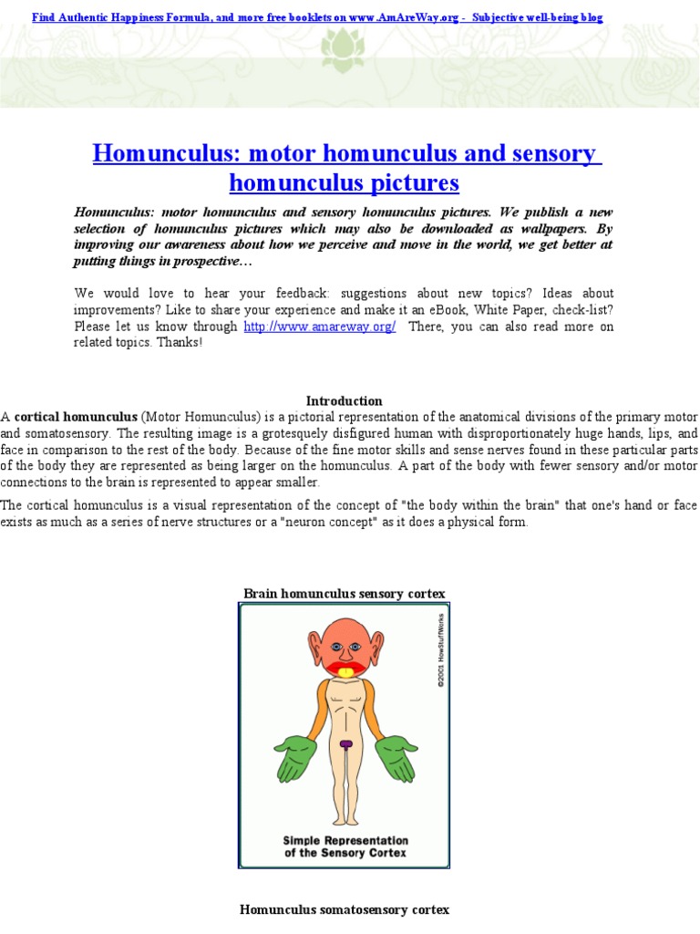 Homunculus: motor homunculus and sensory homunculus pictures ...