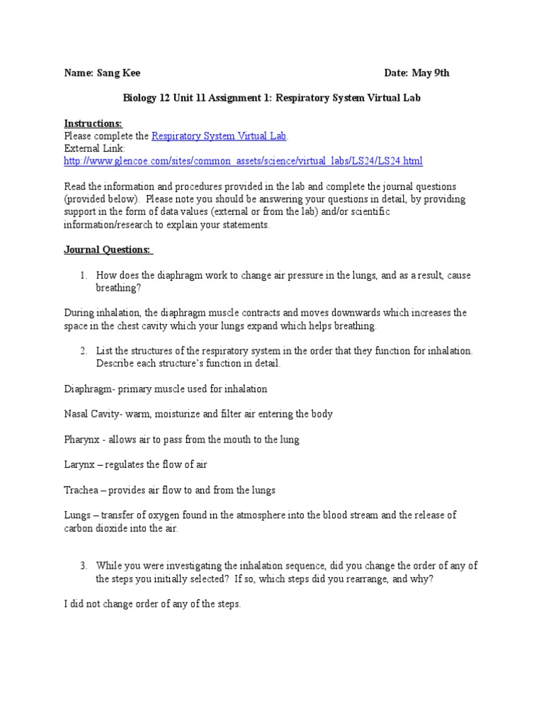 Biology 12 Unit 11 Assignment 1 Respiratory System Virtual Lab | PDF ...