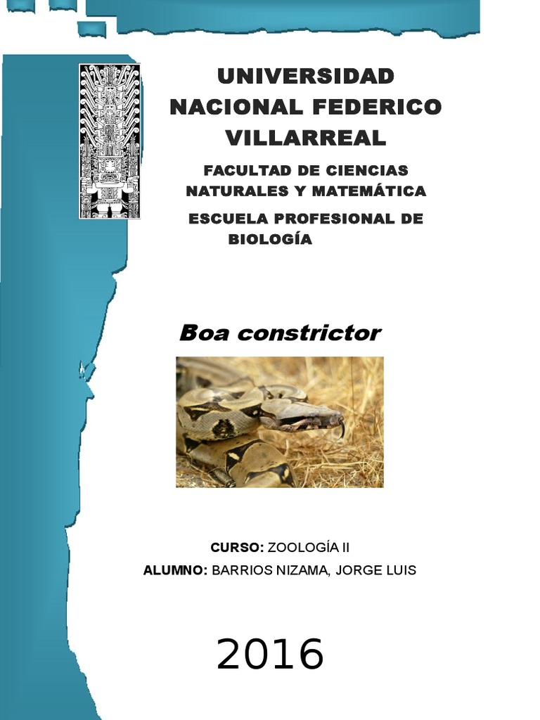 Boa Constrictor Pdf Naturaleza