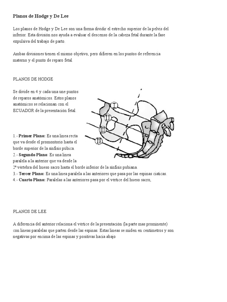 Planos de Hodge y De Lee en Ginecología | PDF