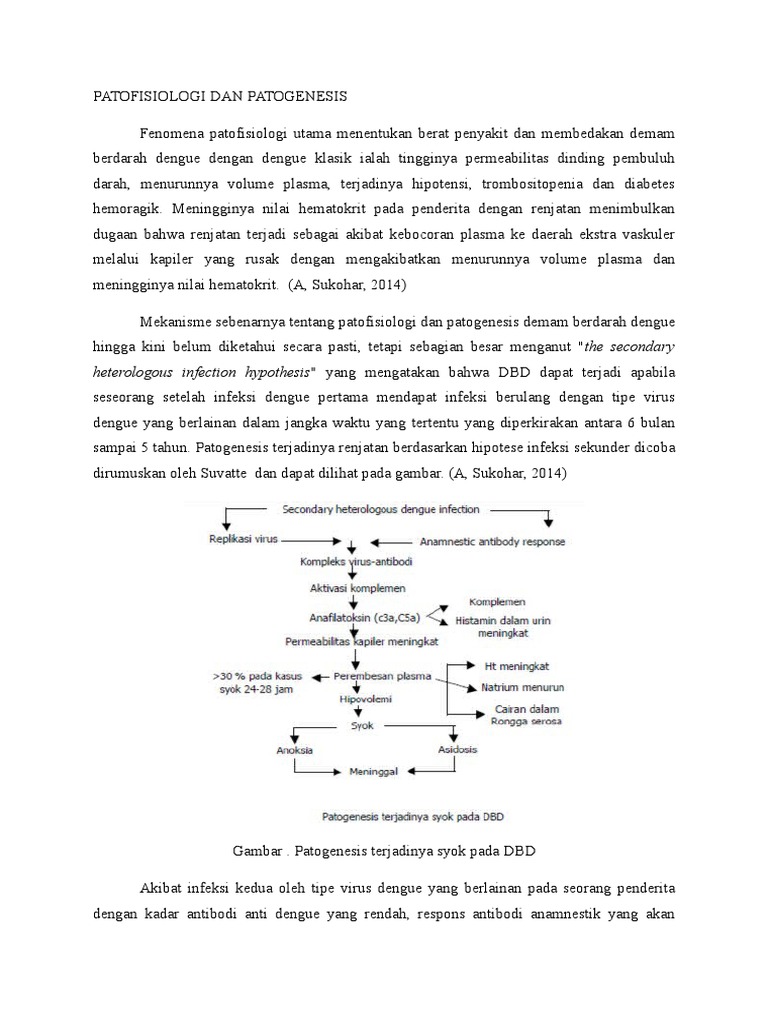 PATOFISIOLOGI DAN PATOGENESIS DEMAM DENGUE | PDF