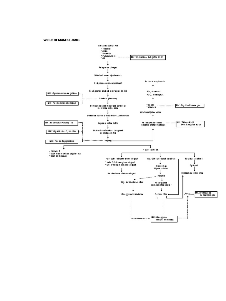 WOC Demam Kejang | PDF