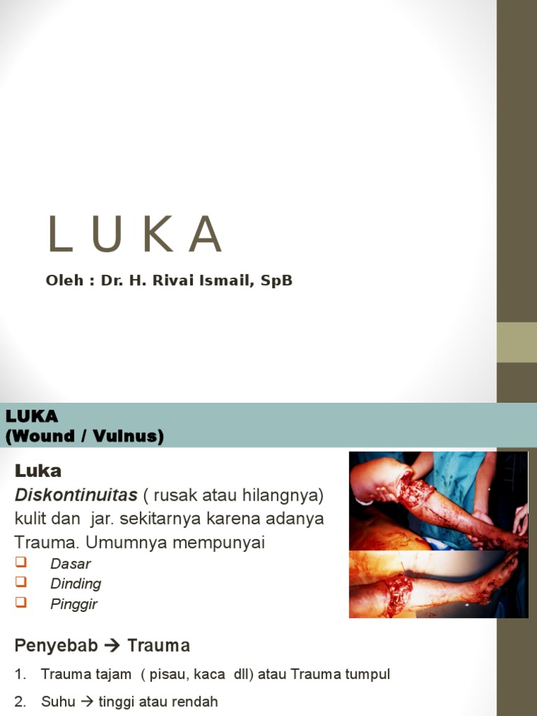 Luka | PDF