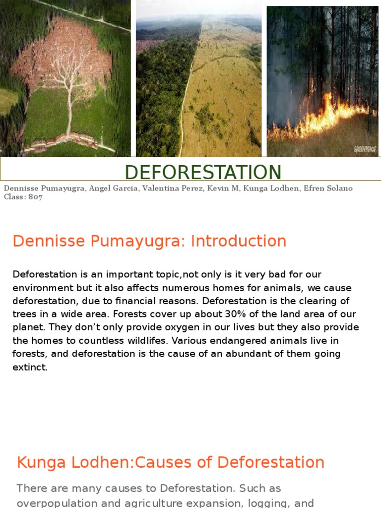 Deforestation - 807 Group 2 | PDF | Environmental Ethics | Deforestation Deforestation - 807 Group 2 | PDF | Environmental Ethics | Deforestation