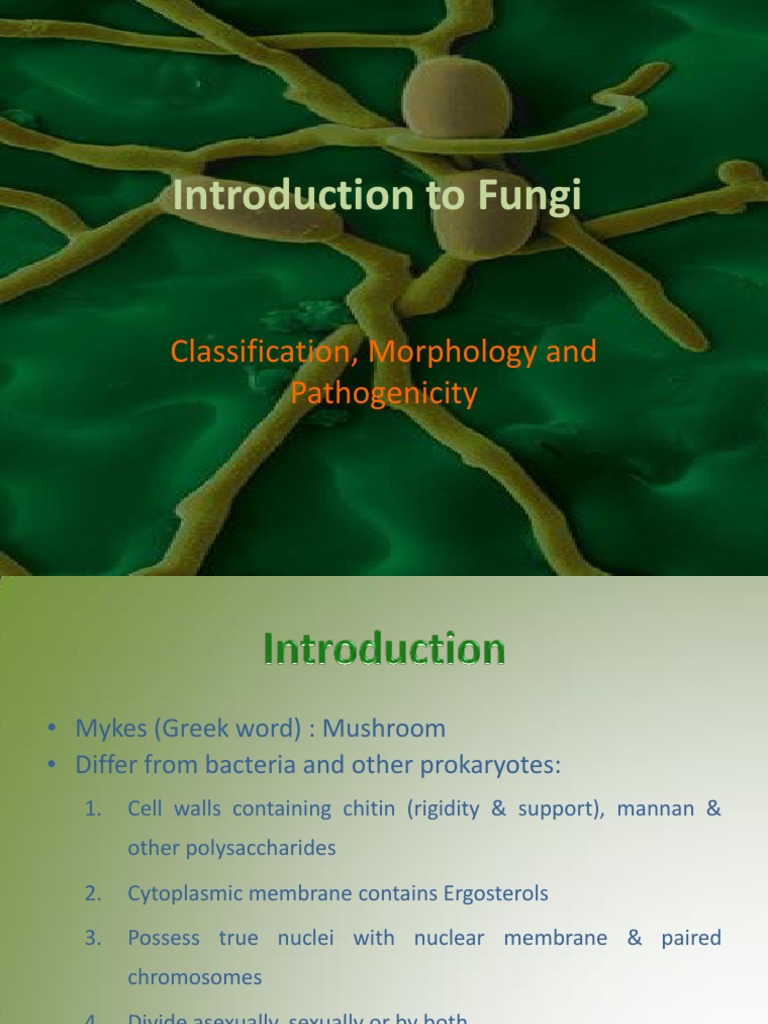 Introduction To Fungi | PDF | Fungus | Cell (Biology)