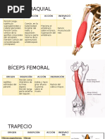 PALESTESIA Definicion y Exploración | PDF | Mano | Sistema ...