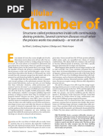 QUANTEC RT Constraints | PDF | Radiation Therapy | Diseases And Disorders