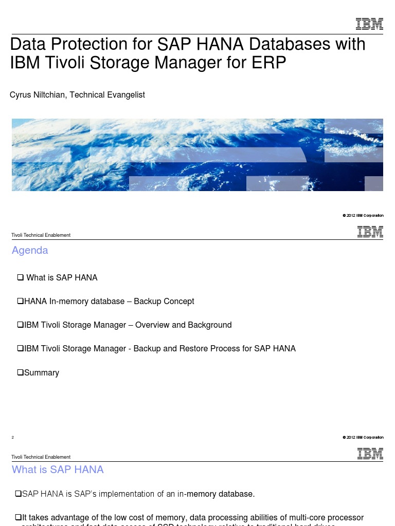 81 Tsm For Erp Sap Hana Pdf Sap Se Backup