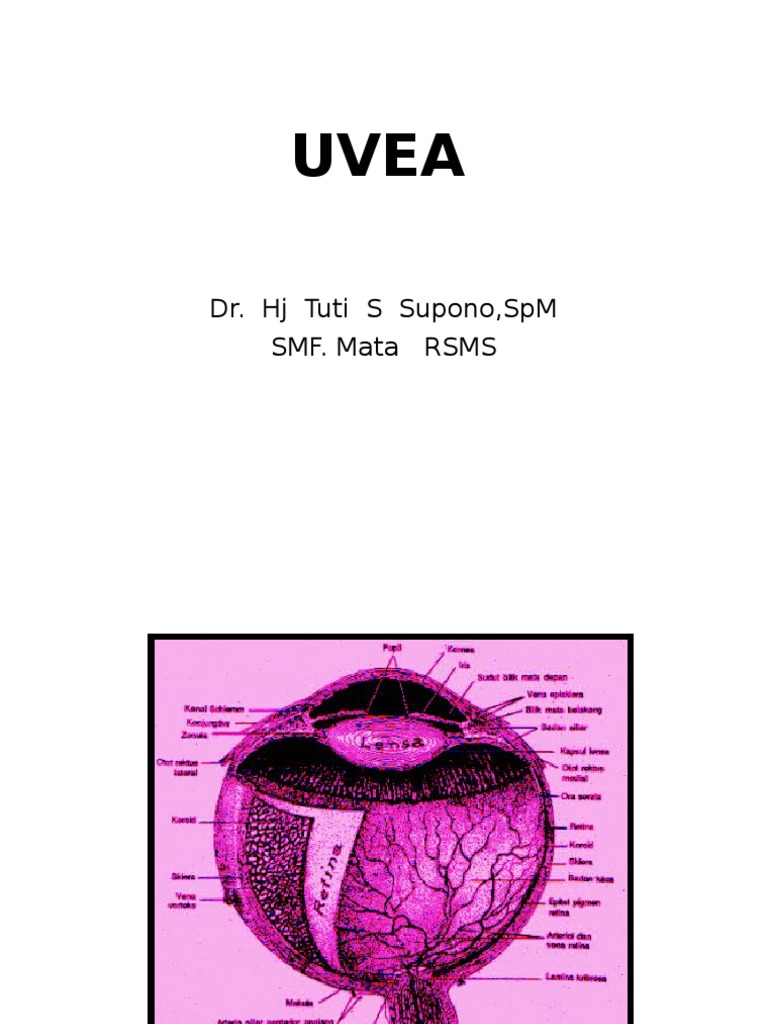 Uvea Dan Retina | PDF