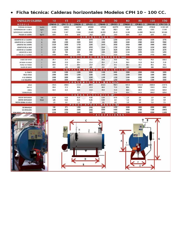 Fichas Tecnicas de Calderas | PDF | Bomba | Combustión