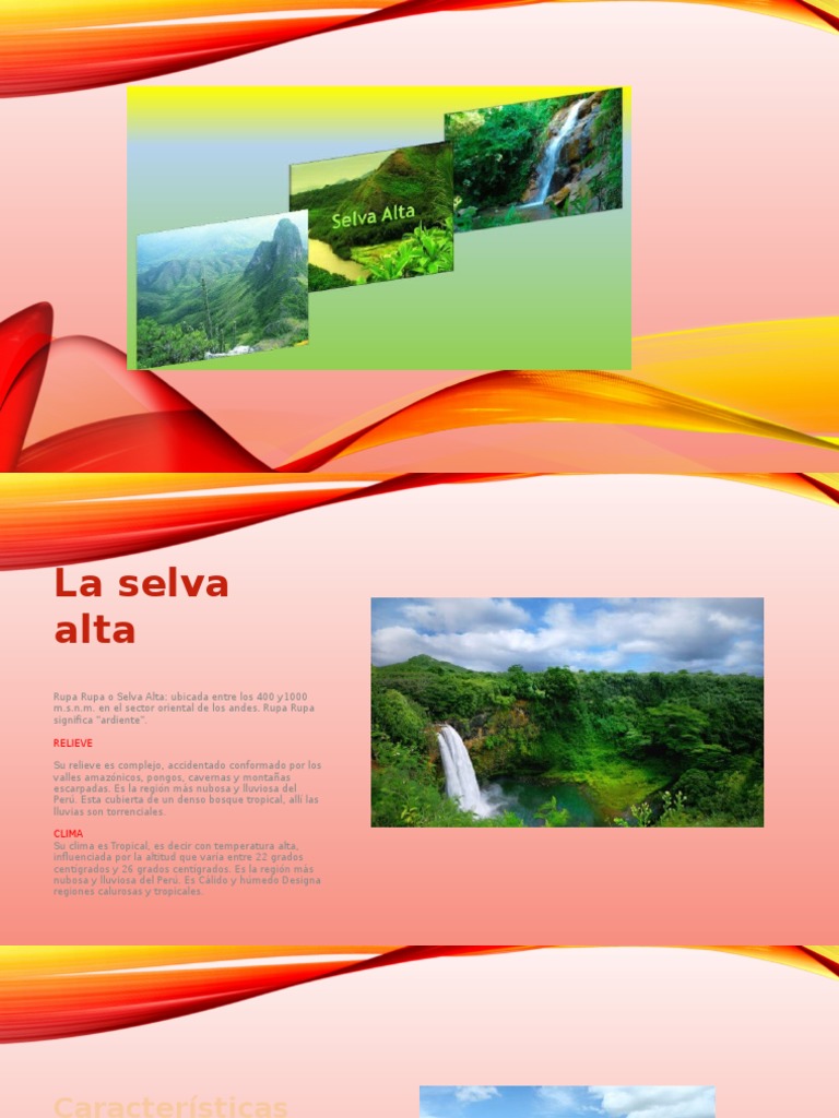 La Selva Alta | PDF | Selva | Ciencias de la Tierra