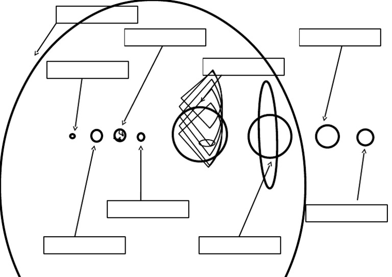 Label The Solar System Worksheet | PDF