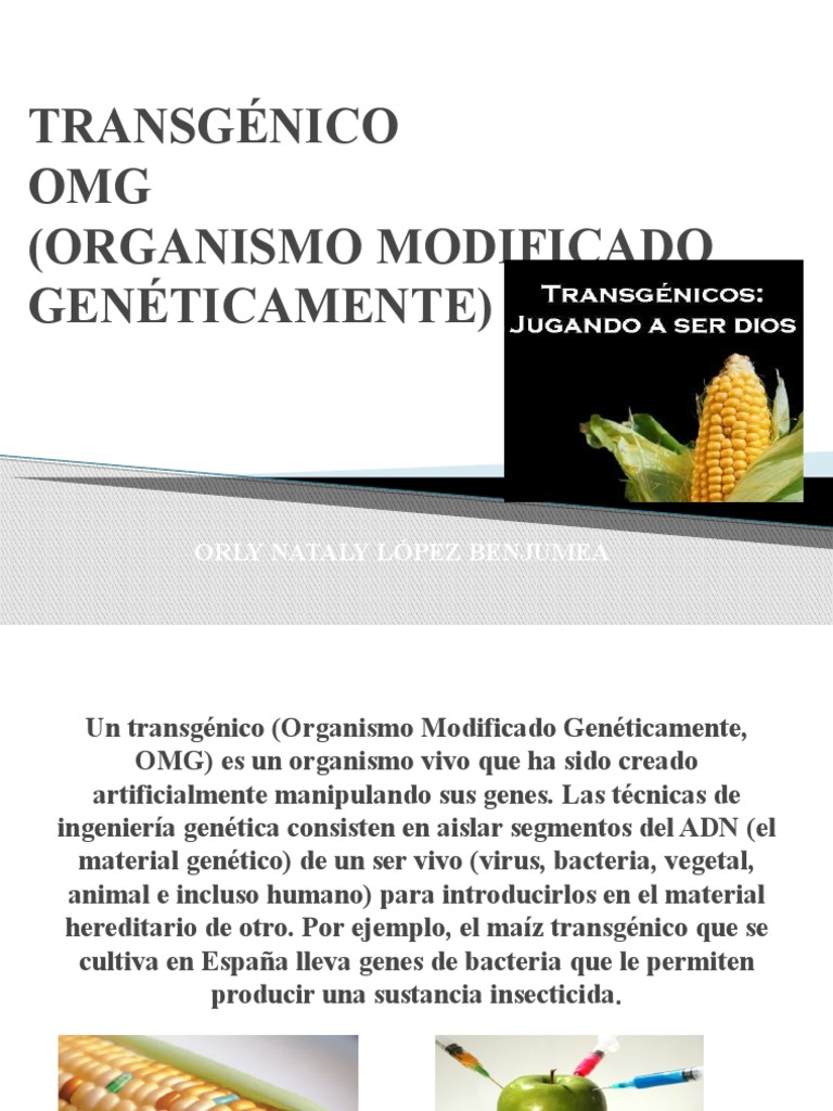 Expo TRANSGÉNICO | PDF | Organismo genéticamente modificado ...