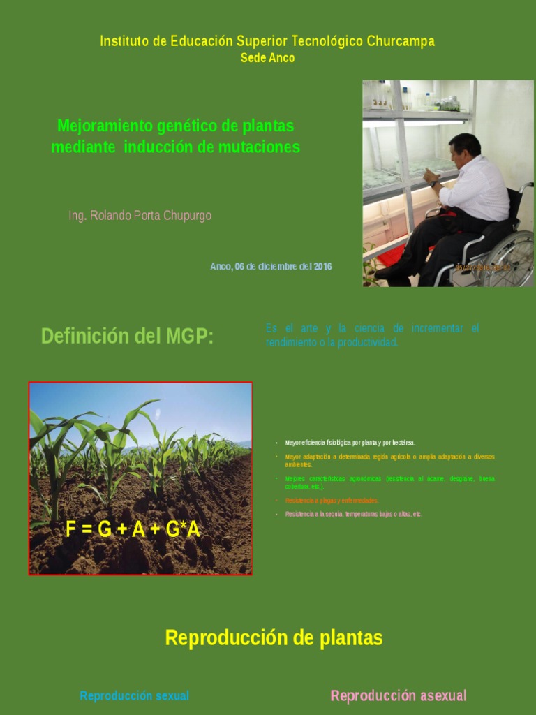 Mejoramiento Genético de Plantas Mediante Inducción de Mutaciones | Mutageno | Mutación