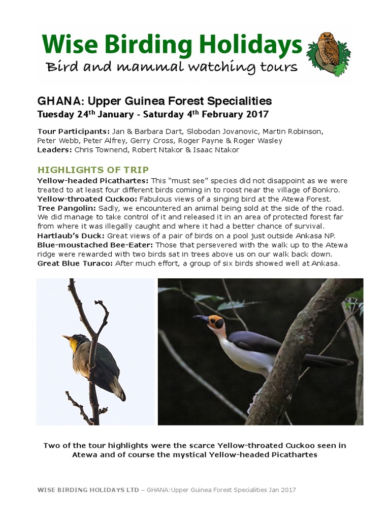 Ghana, Upper Guinea Forest Specialities, Jan/feb 2017 | PDF | Tetrapods ...