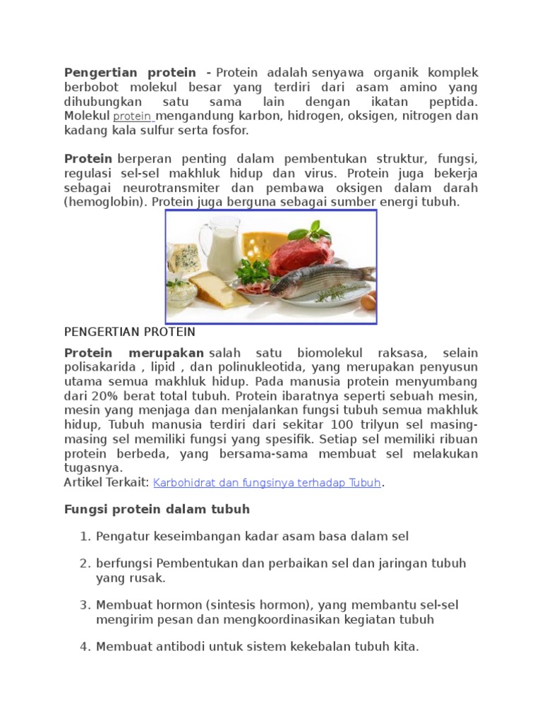 Pengertian Protein | PDF