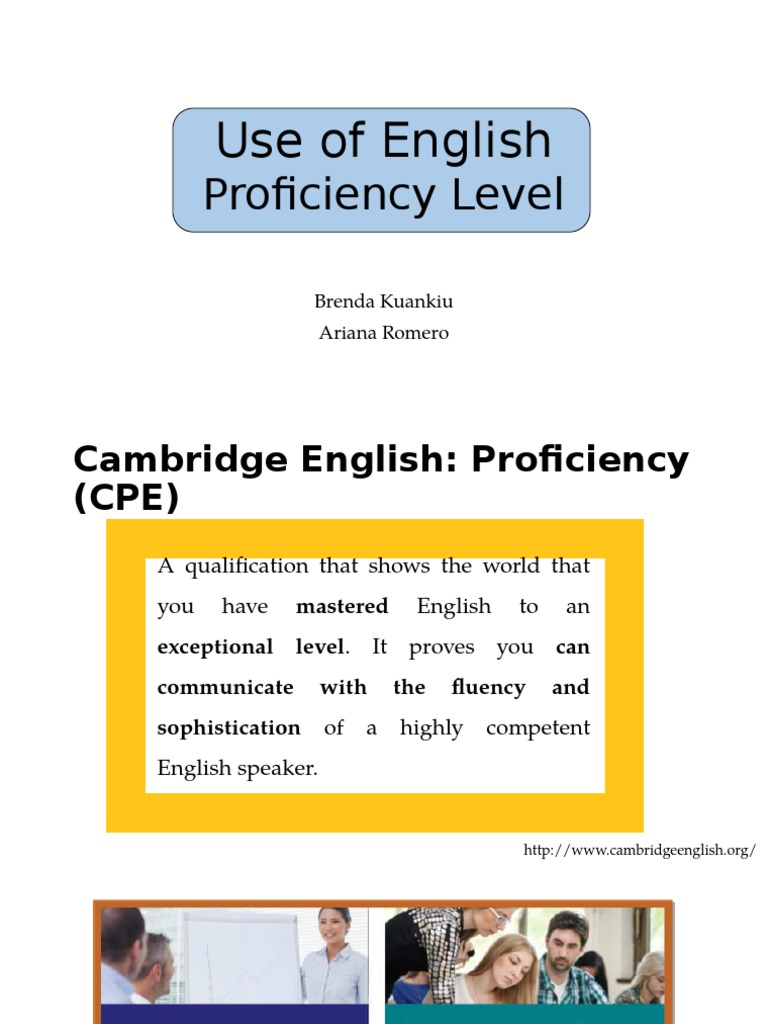 Use of English: Proficiency Level | PDF | Applied Linguistics | Human ...