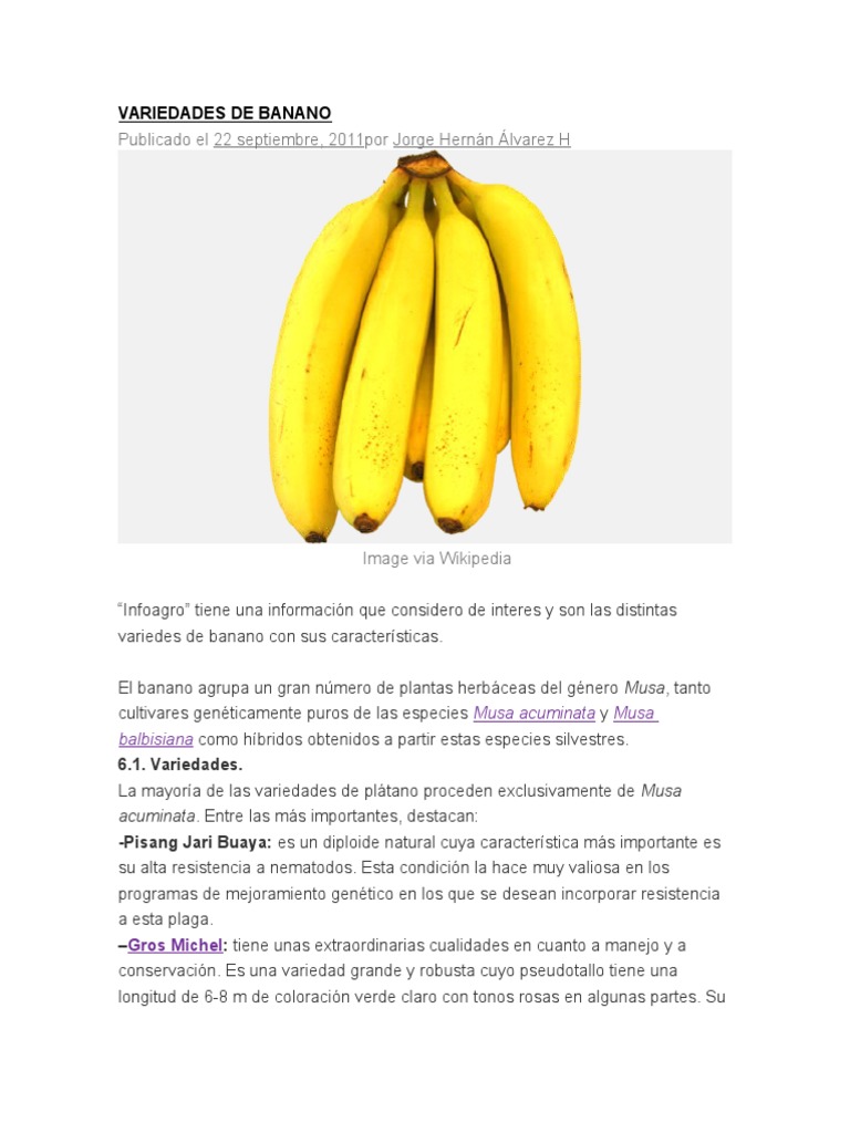 Variedades de Banano | PDF | Fertilizante | Riego