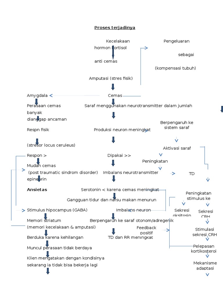 Proses Terjadinya Ansietas HDR | PDF