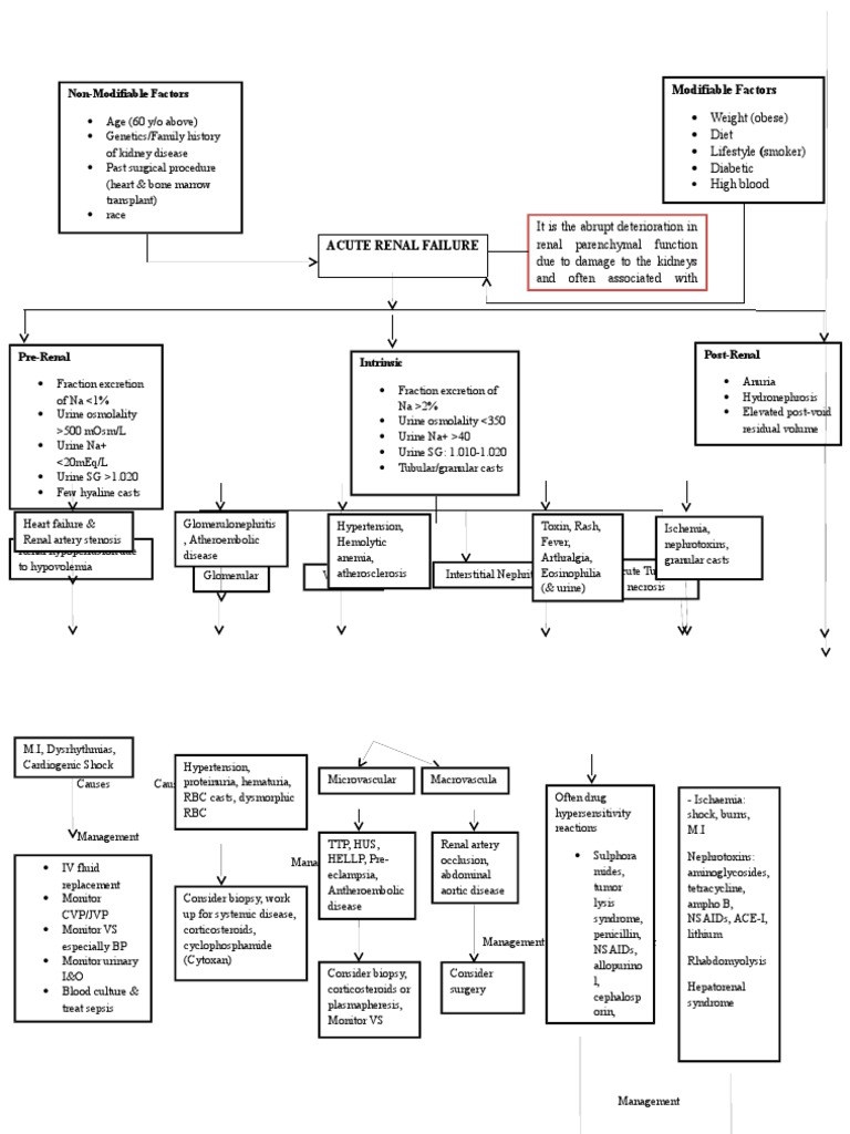 ARF Patho | PDF | Kidney | Internal Medicine