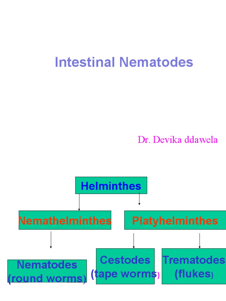 Intestinal Nematodes: Dr. Devika Ddawela | PDF | Nematode | Anemia