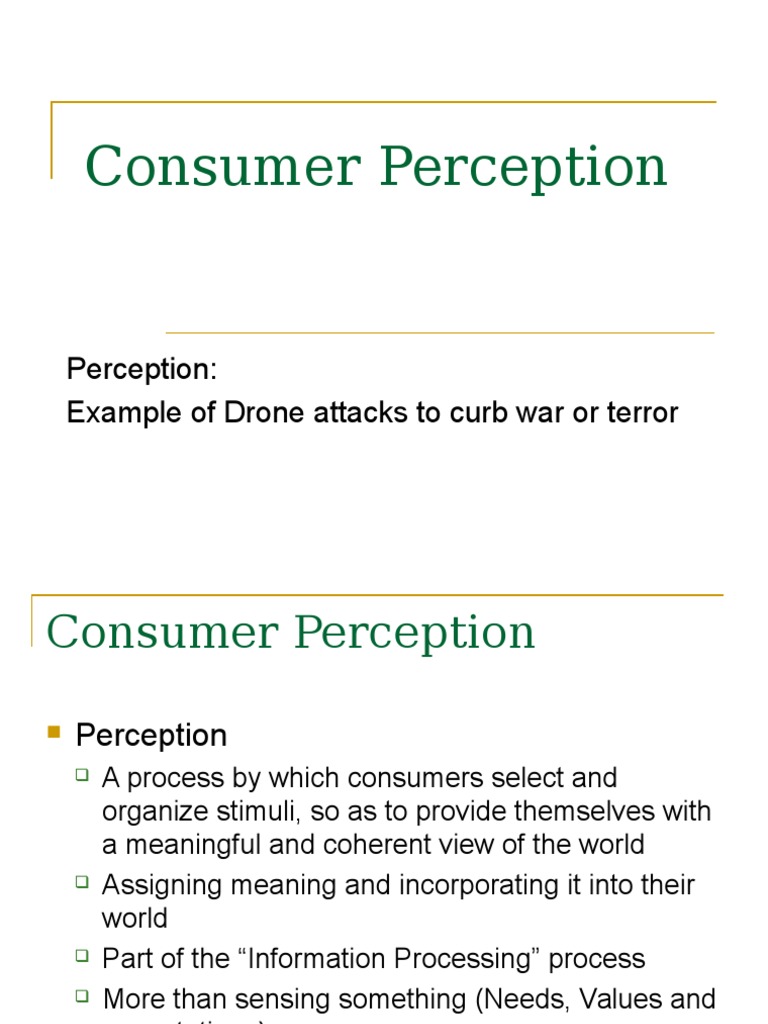 Consumer Perception (Marketing Subject) | PDF | Perception | Advertising