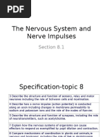 7 Fundamental Principles of Red Cross | PDF | International Red Cross ...