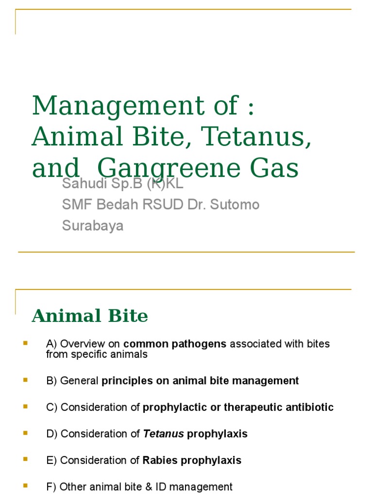 Management of Animal Bite | PDF | Rabies | Diseases And Disorders