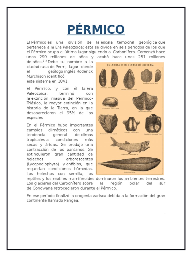 extincion del permico.docx | Geología | Ciencias de la tierra y de la vida