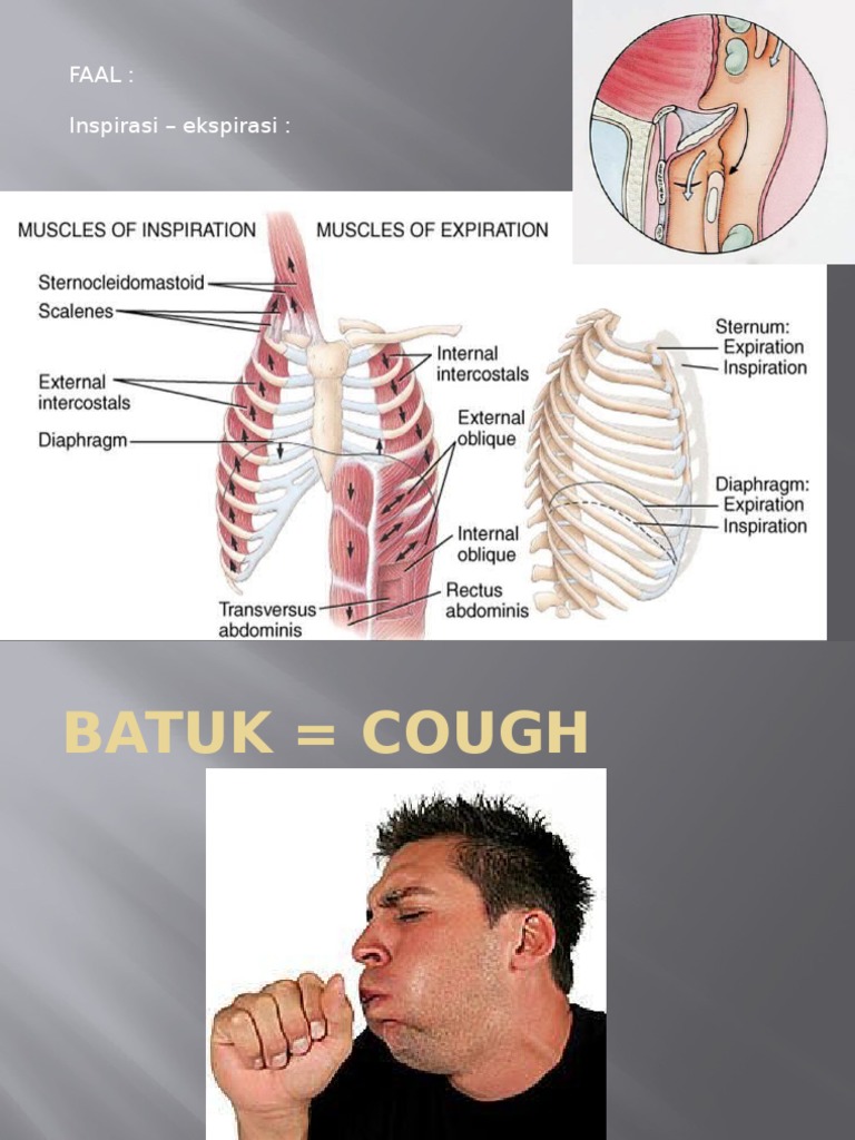 Pathophysiology of Cough and Associated Pulmonary Conditions | PDF