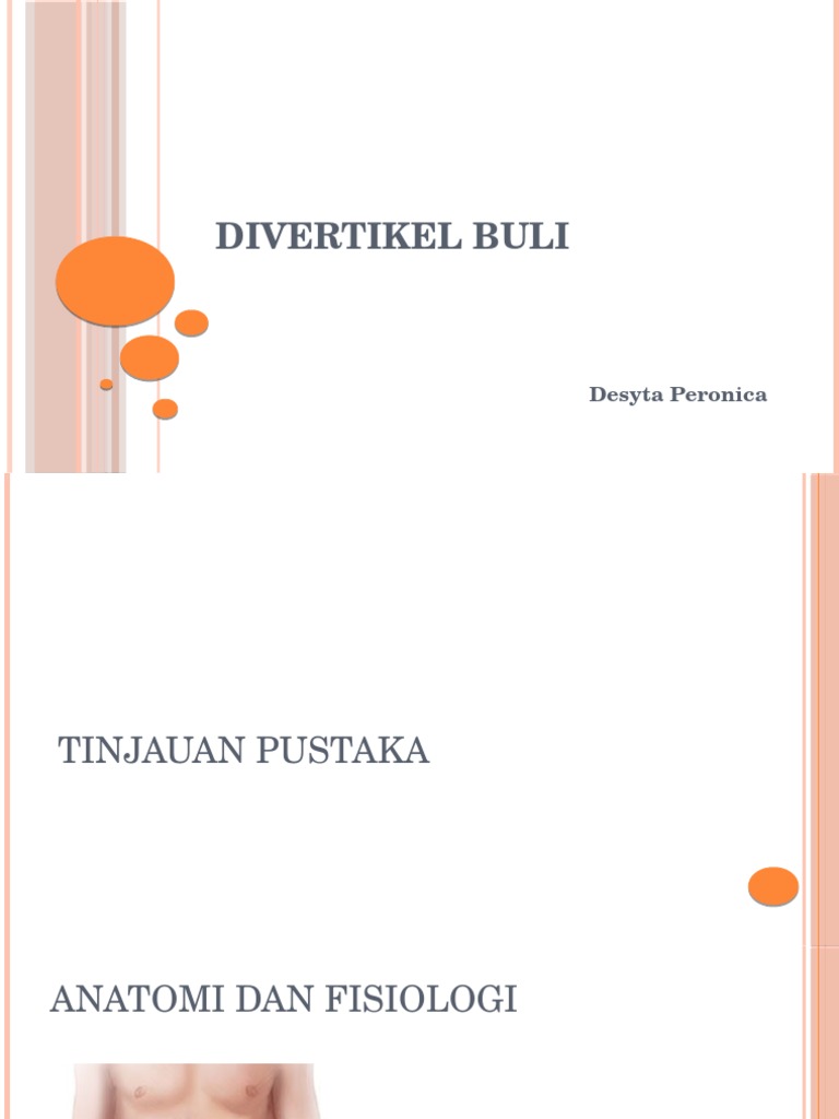 Divertikel Buli: Tinjauan Anatomi, Patofisiologi, Gejala, Diagnosis ...