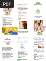 HKI Leaflet ANC Terpadu - 2023 | PDF