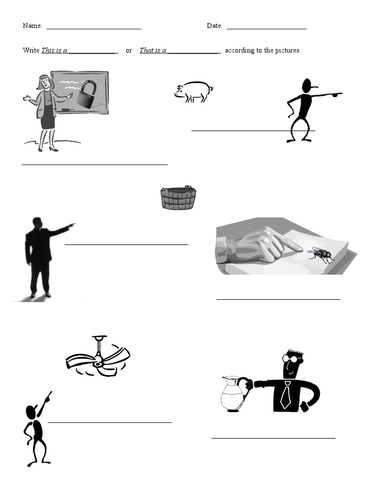 Picture Labeling and Sentence Exercises | PDF | Trees | Plant Morphology