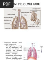 Struktur dan Fungsi Lobus Parietal | PDF