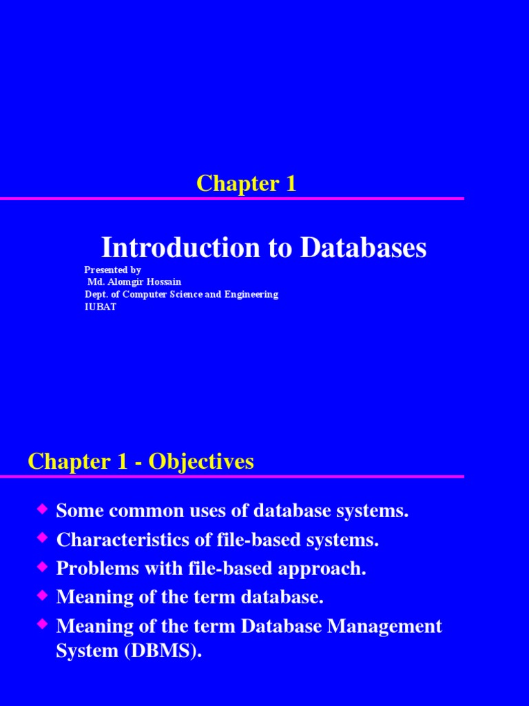 Introduction To Databases: Chapter 1 | PDF | Databases | Information ...