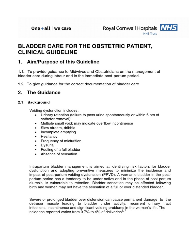 Bladder Care For The Obstetric Patient, Clinical Guideline: 1. Aim ...