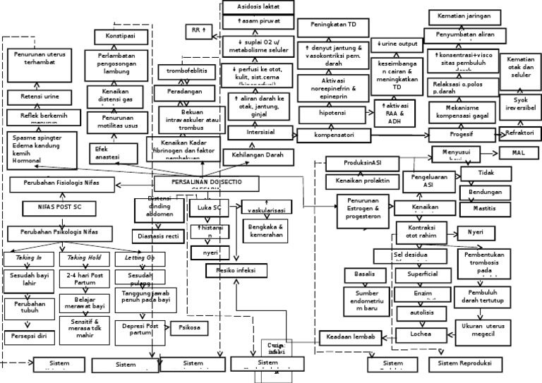 Pathway Nifas SC | PDF