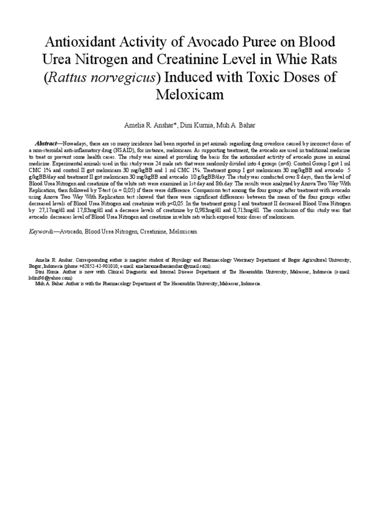 Blind Abstract | PDF