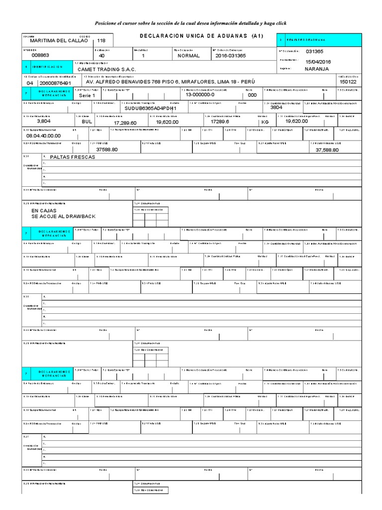 Formato A1 de La Declaración Unica de Aduanas