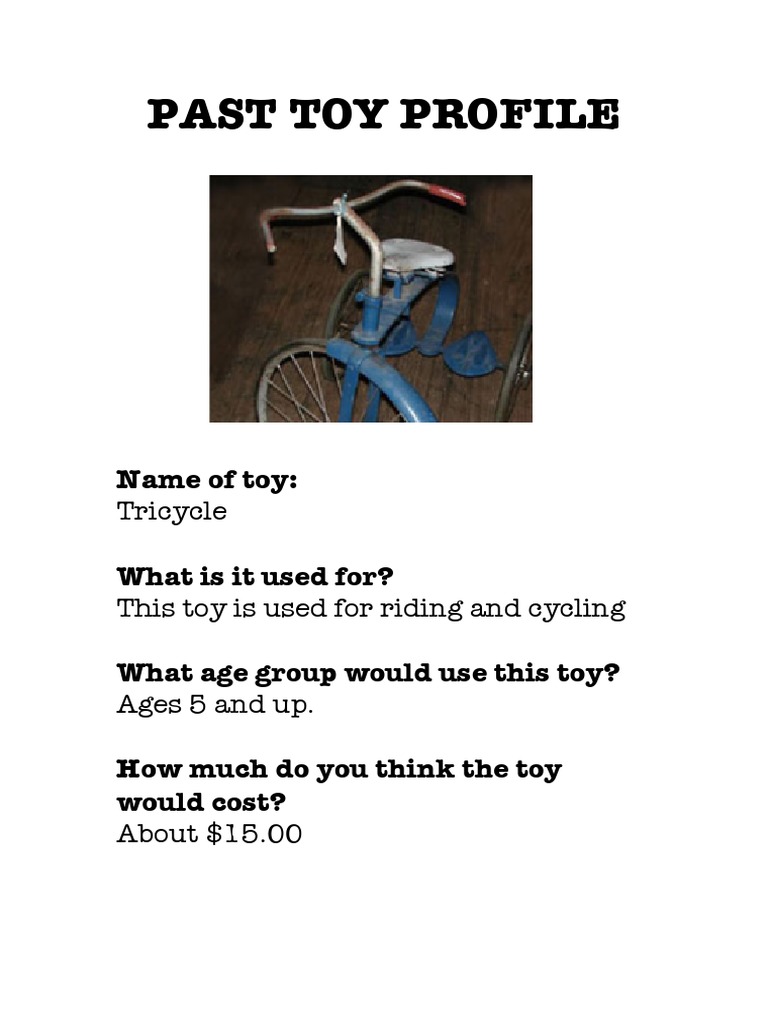 Toy Profile Past | PDF